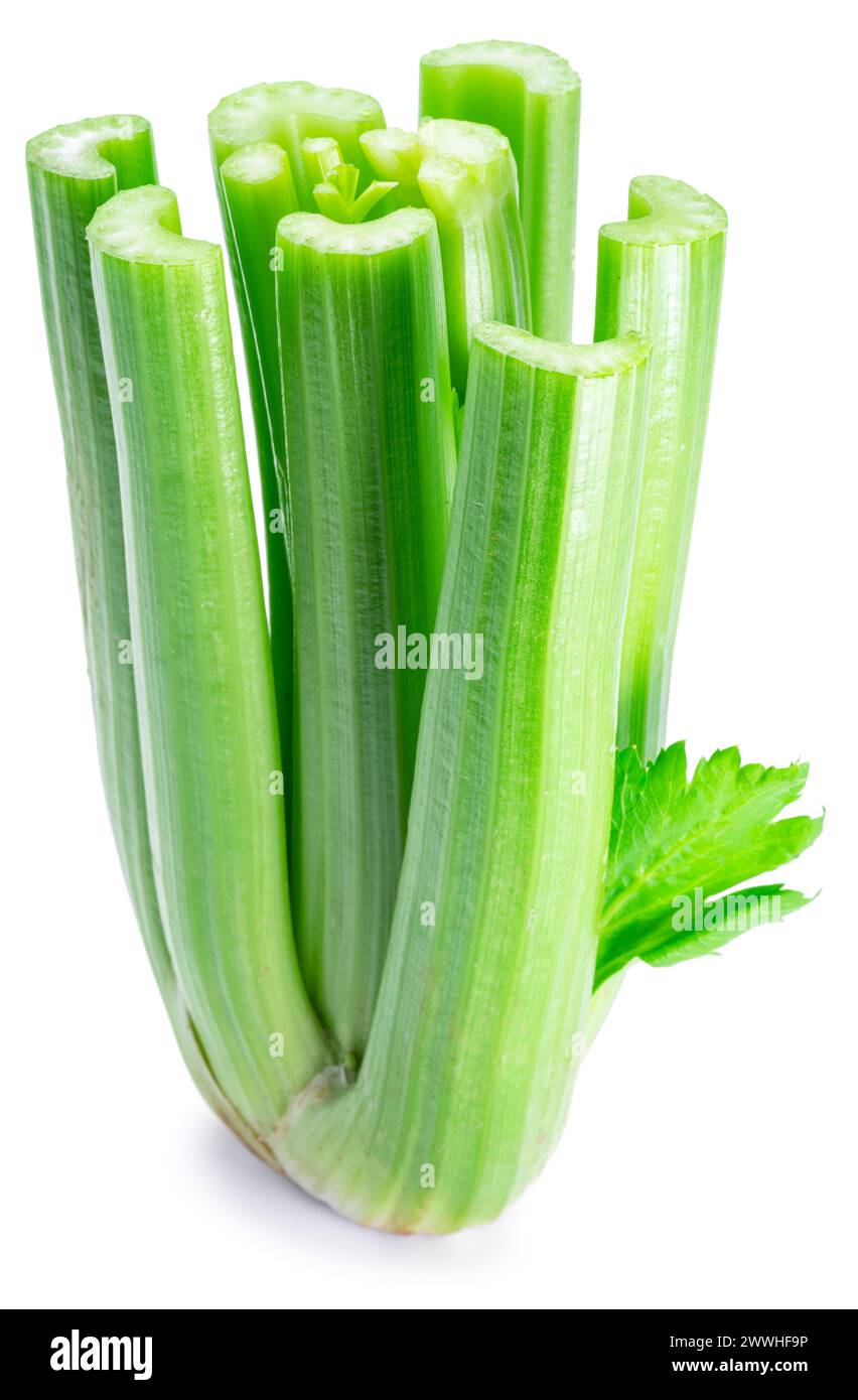 Celery stalk isolated on white background Stock Photo - Alamy