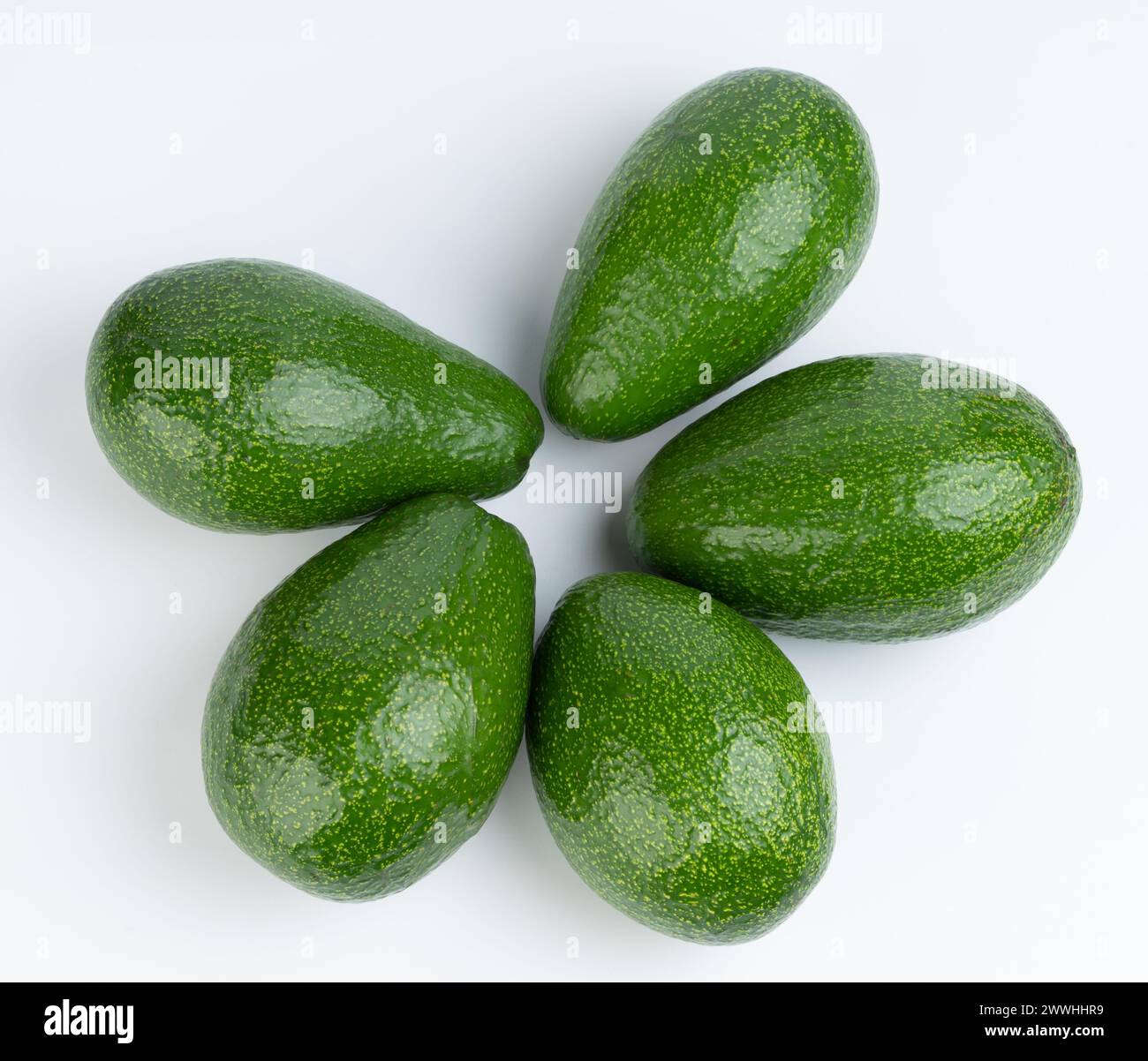 Group of avocados above top view isolated on white studio background ...