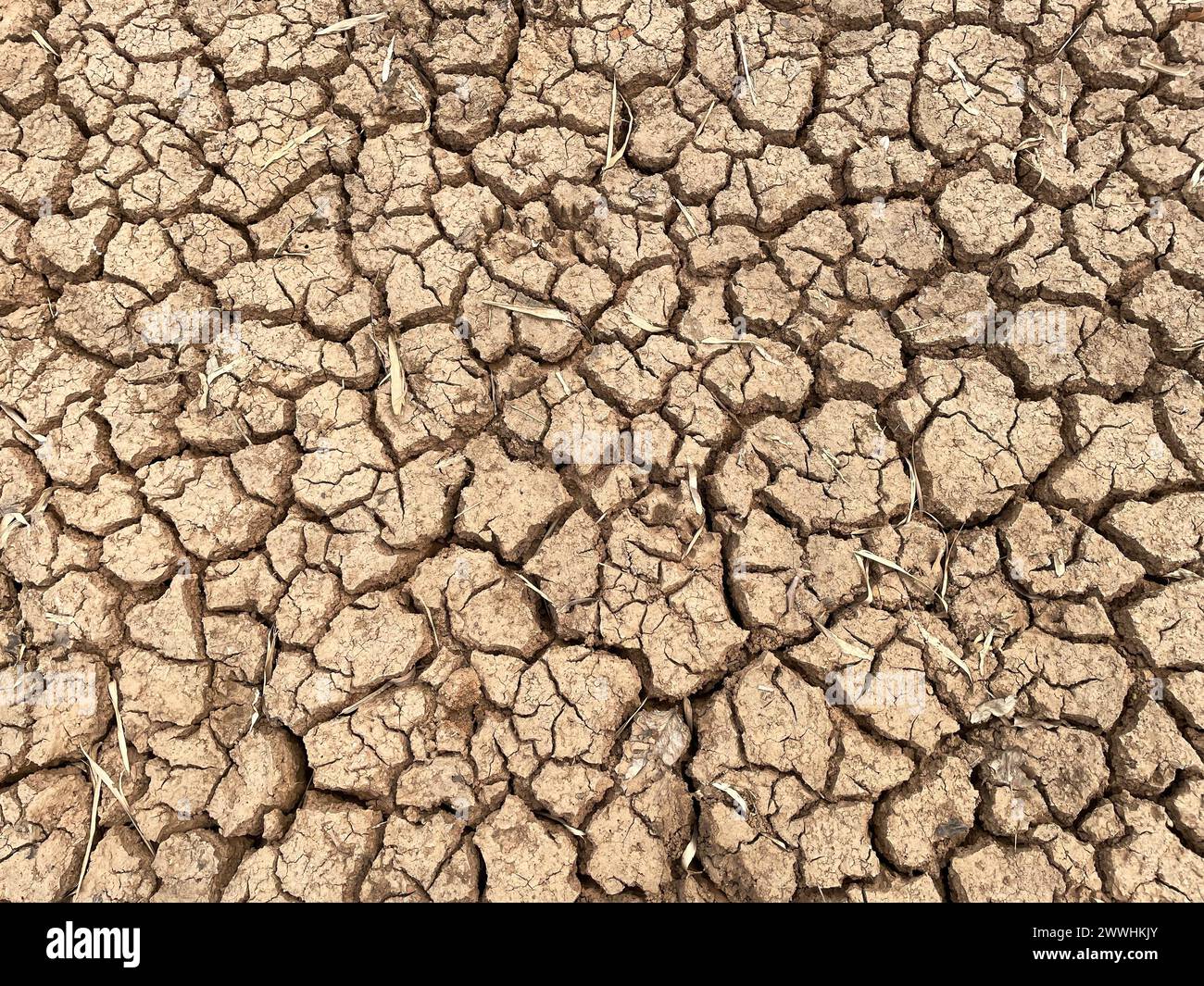 soil arid texture abstract background Stock Photo - Alamy