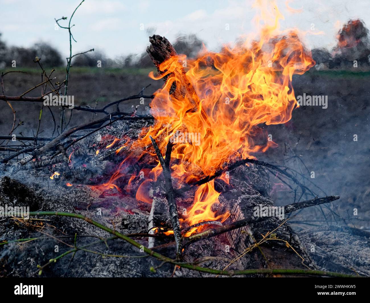 The foreground prominently features burnt ash surrounding the active ...