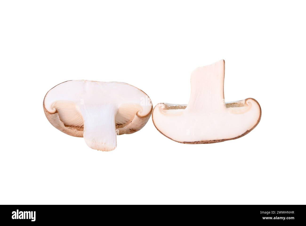 Front view set of shiitake mushroom halves is isolated on white ...