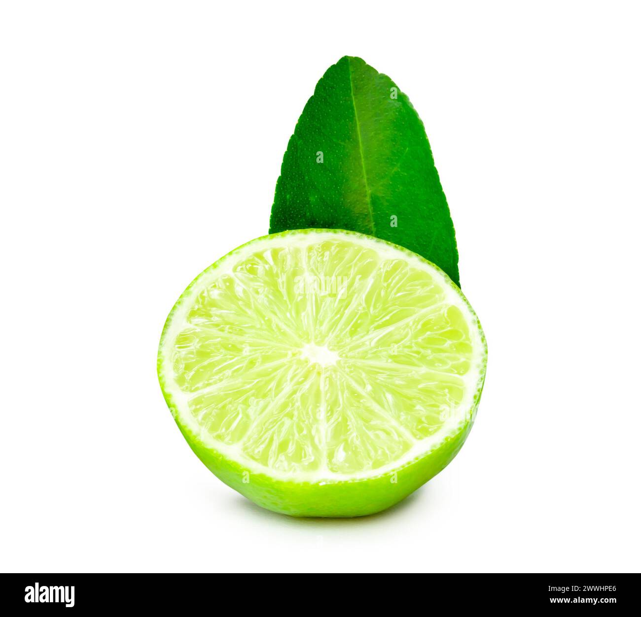 Front view of fresh green lemon half with leaf is isolated on white ...