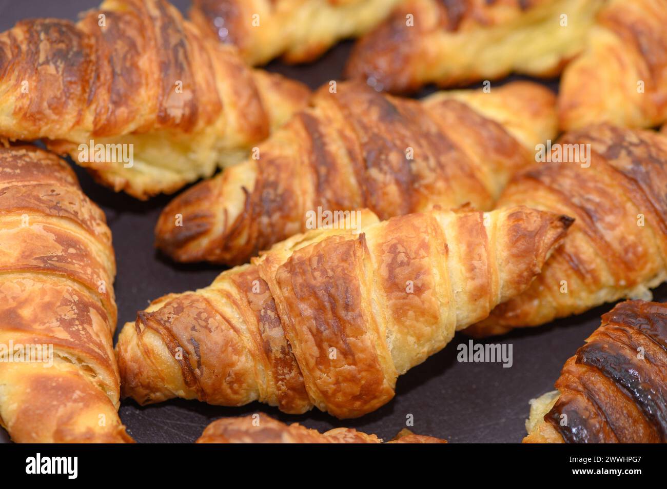 homemade croissants, rolled and ready to be filled with sweet or savory ...
