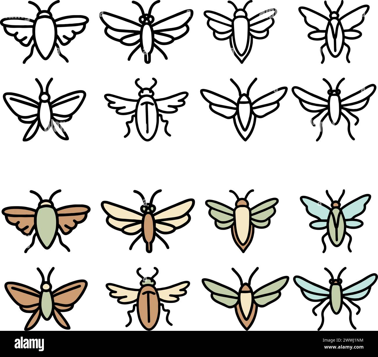 Entomological drawings hi-res stock photography and images - Alamy