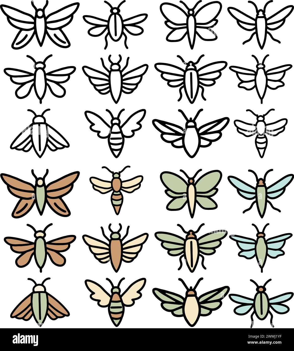 DRAWINGS OF INSECTS WITH WINGS, GROUP OF TWELVE BUGS Stock Vector Image ...