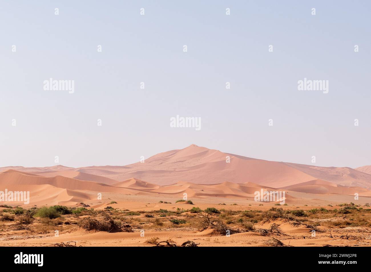 Impression of the massive sanddunes that comprise the Sossusvlei of ...