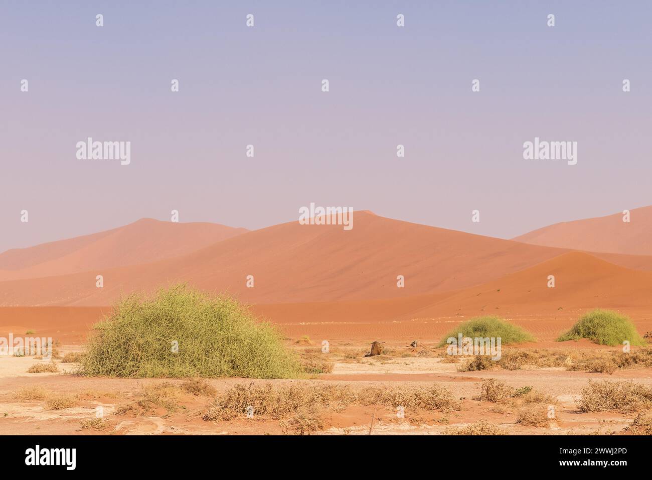 Impression of the massive sanddunes that comprise the Sossusvlei of ...