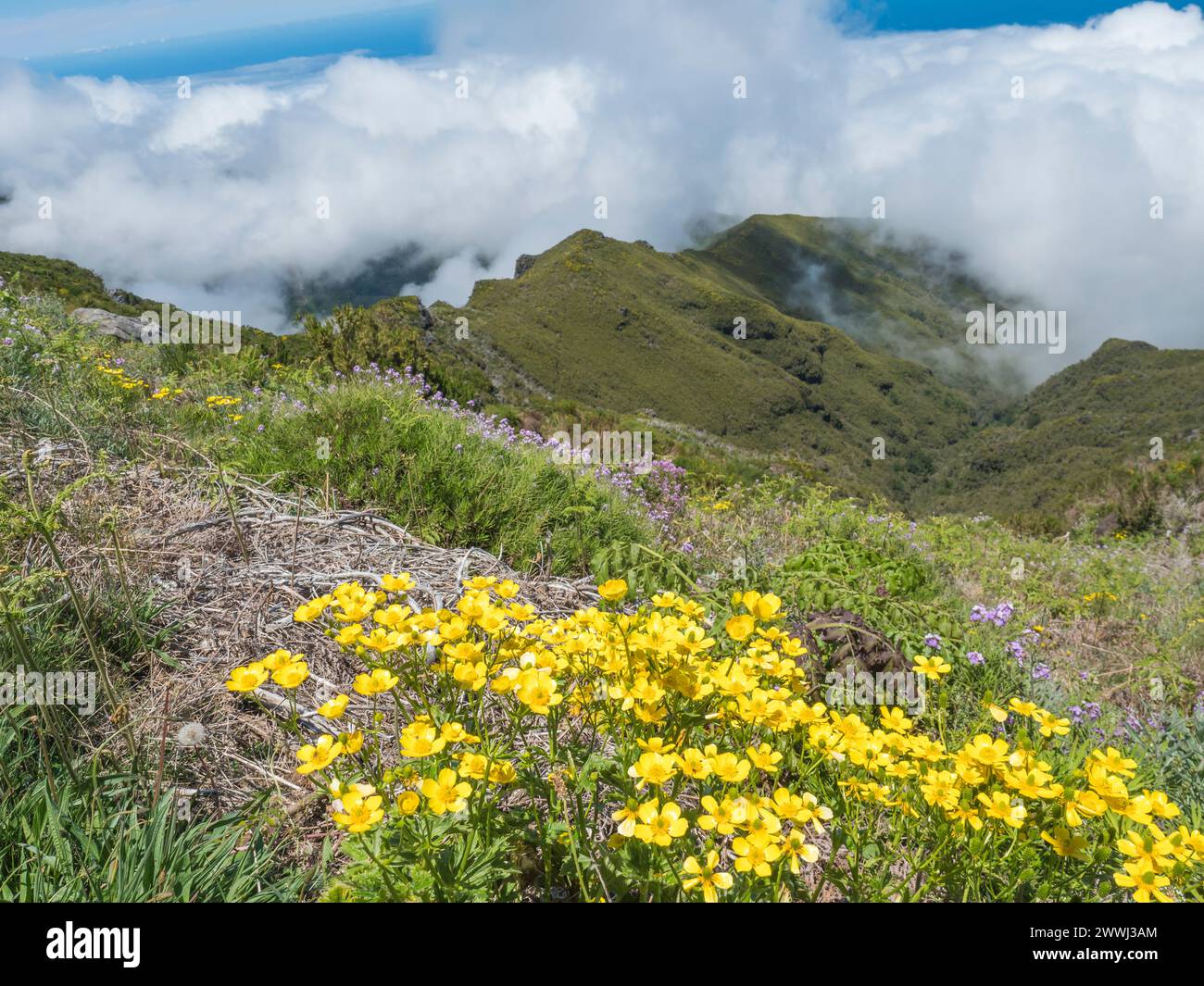 View from hiking trail PR1.2 from Achada do Teixeira to Pico Ruivo, the ...