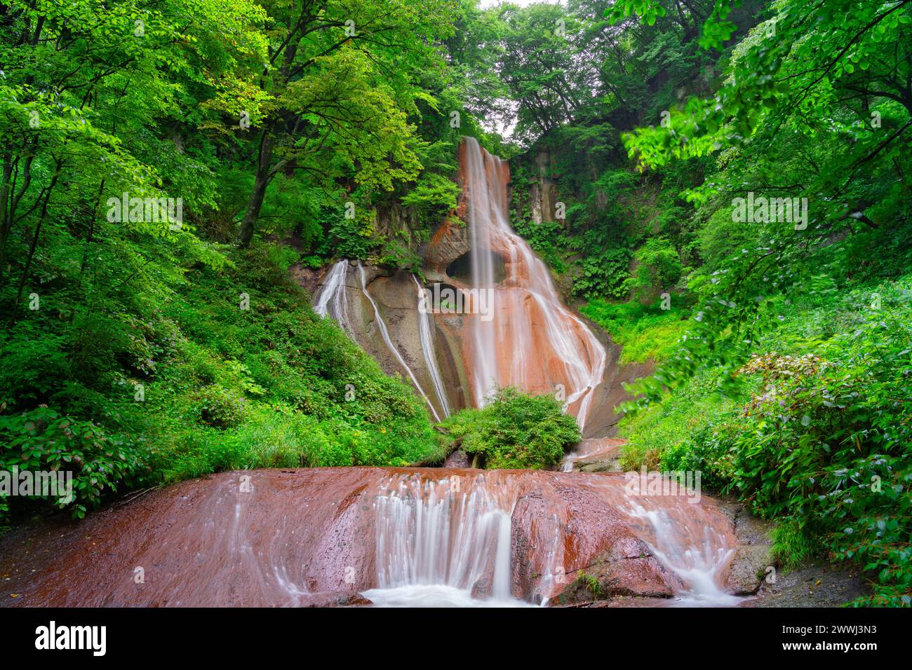 Osennotaki hi-res stock photography and images - Alamy