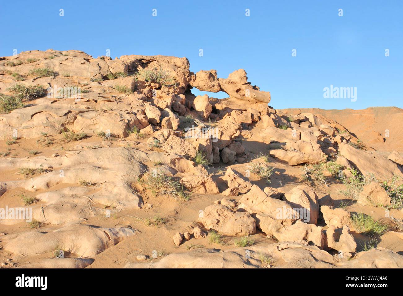 View on Bayanzag Flaming Cliffs on the Mongolian Gobi desert containing ...
