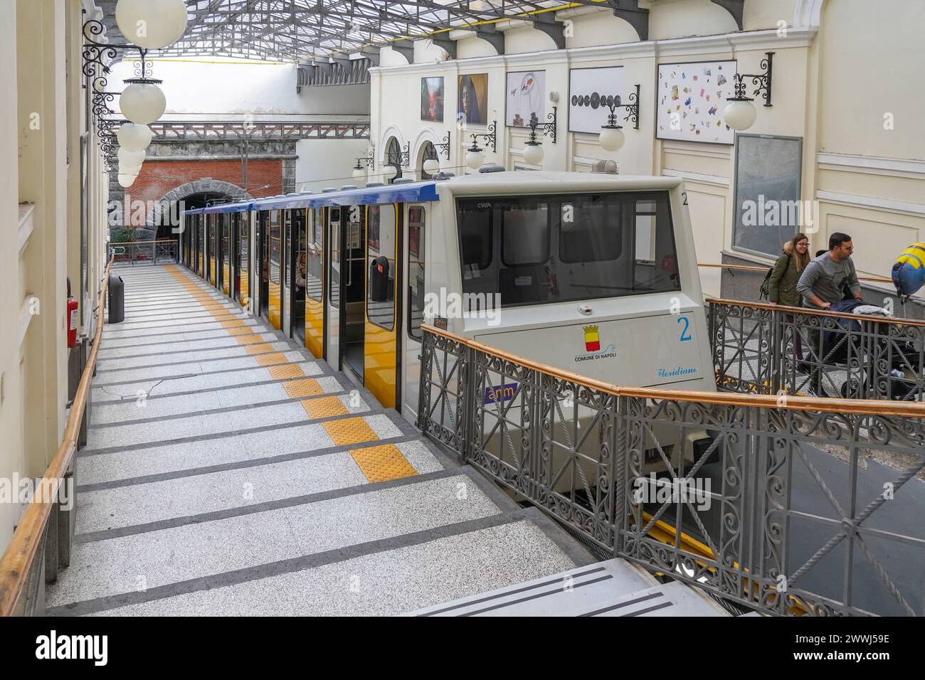 Naples Funicular Vomeronasal System