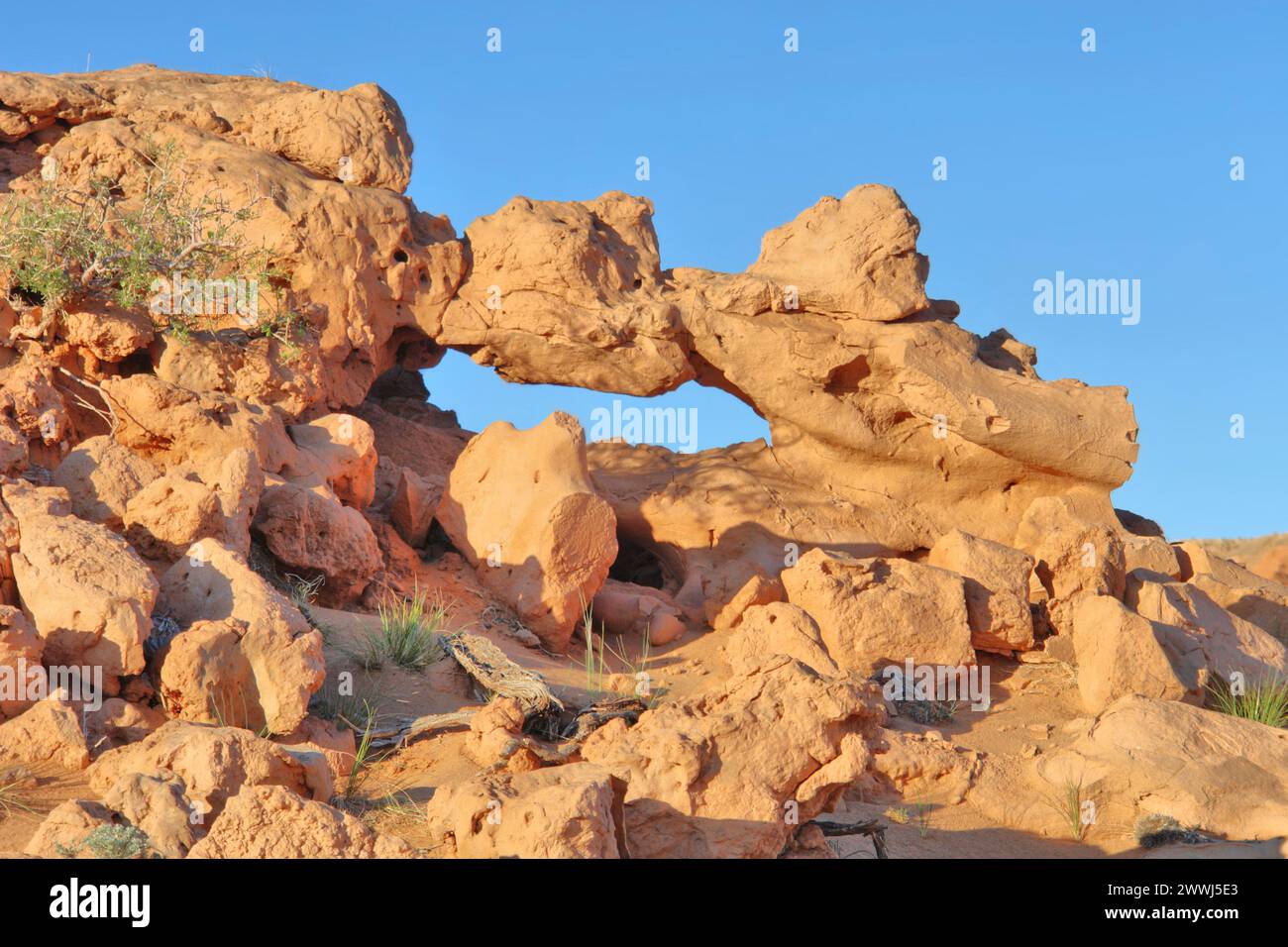 View on Bayanzag Flaming Cliffs on the Mongolian Gobi desert containing ...