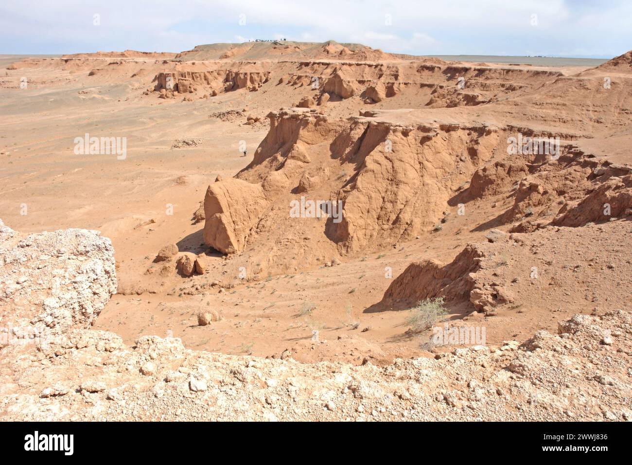 View on Bayanzag Flaming Cliffs on the Mongolian Gobi desert containing ...