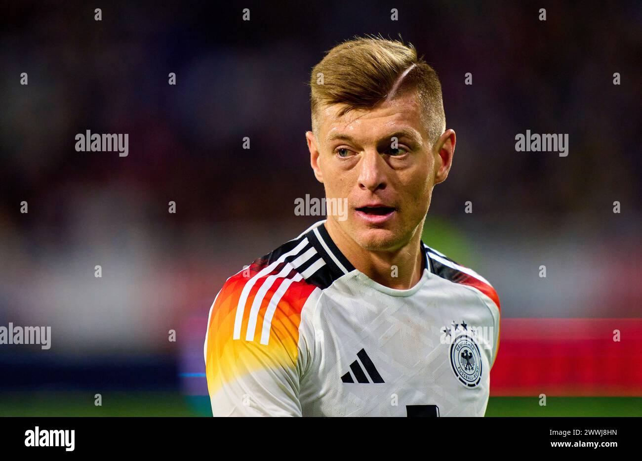 Toni kroos germany 2024 hi-res stock photography and images - Alamy