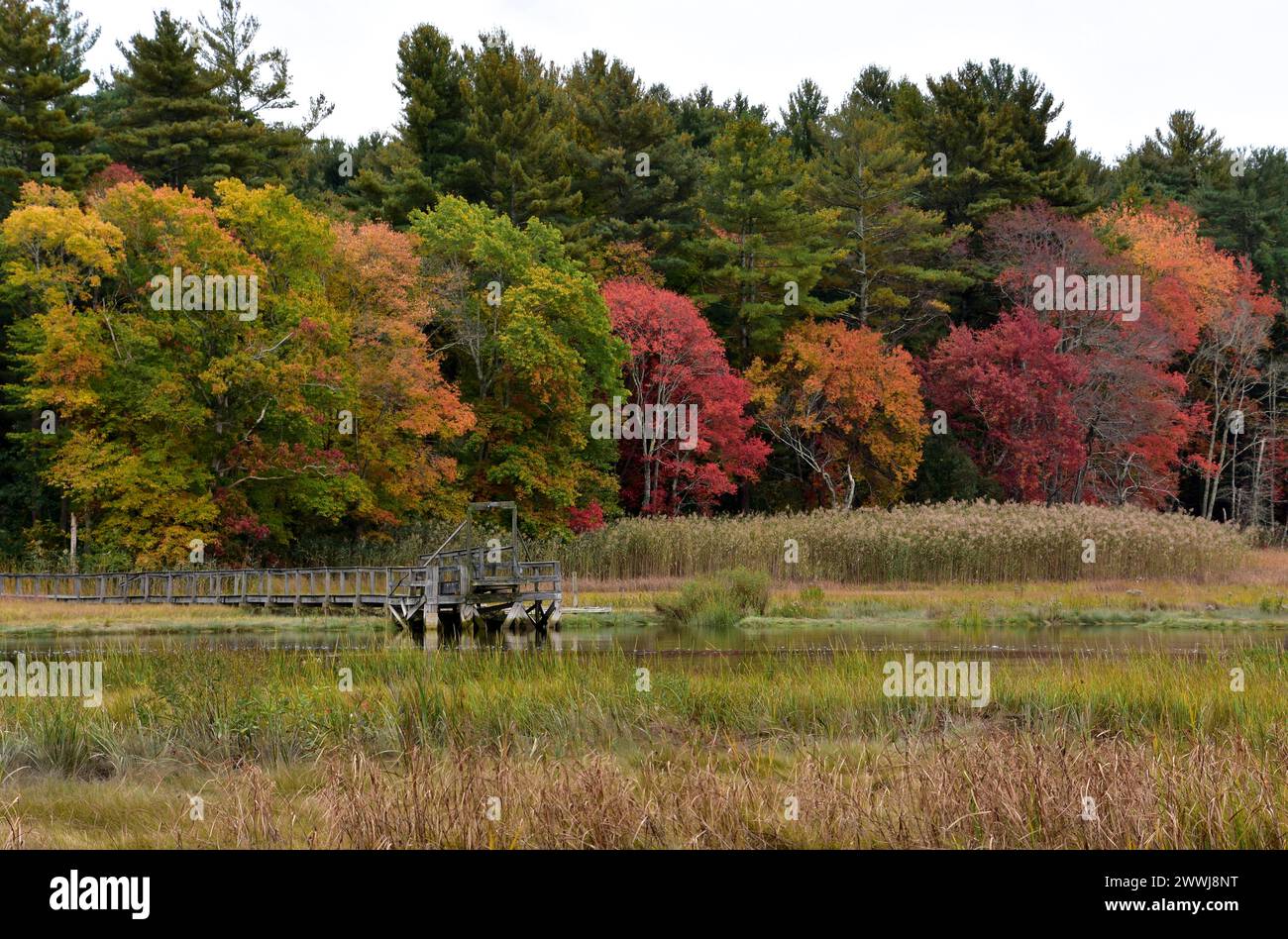 Beautiful autumn fall foliage along North River in Norwell ...