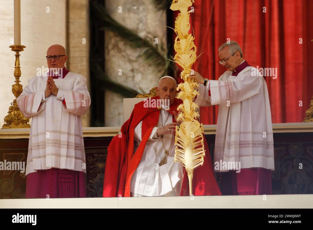 Rome Italy March 24, 2024: Palm Sunday Pope Francis celebrates mass ...