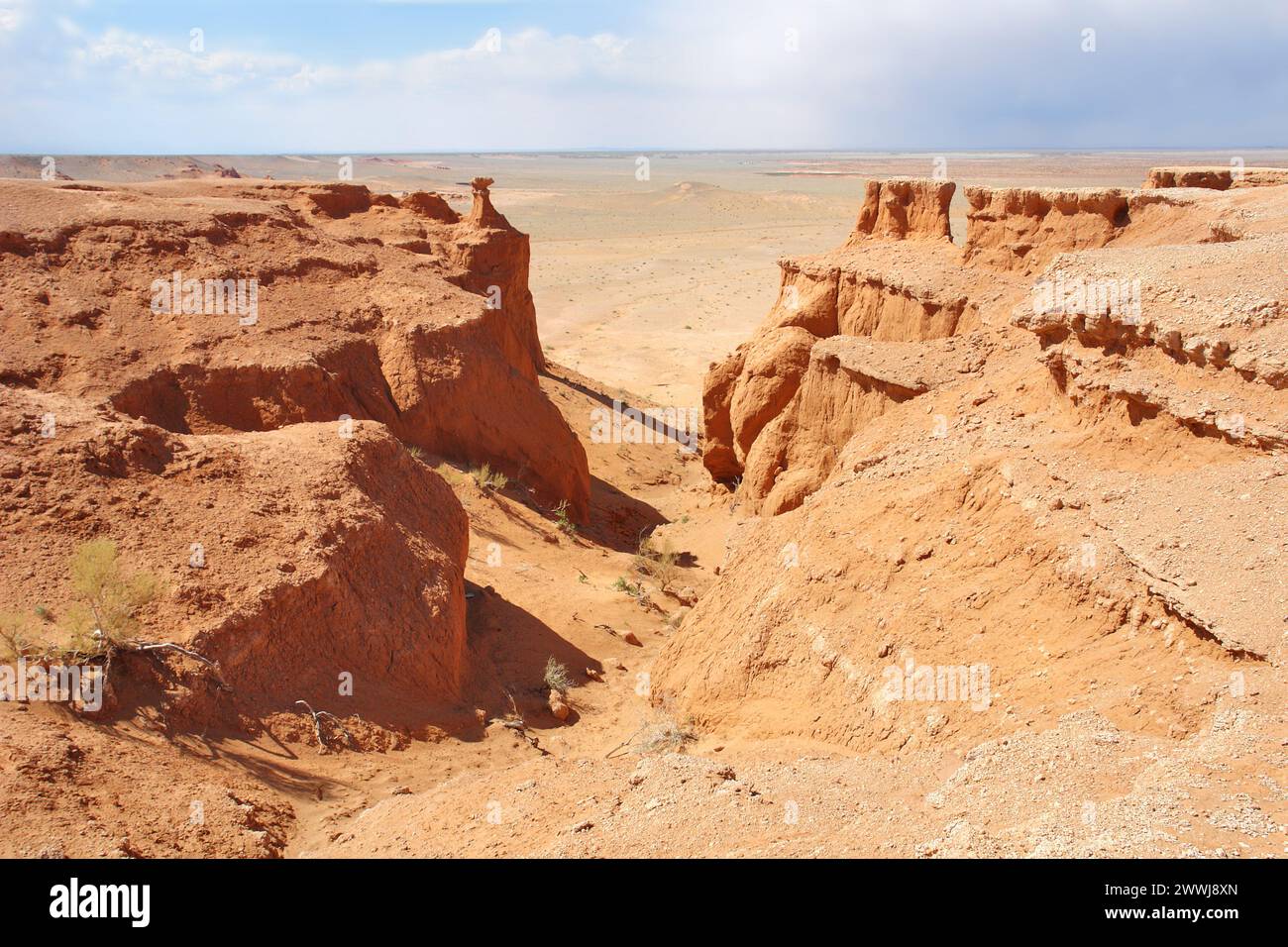 View on Bayanzag Flaming Cliffs on the Mongolian Gobi desert containing ...