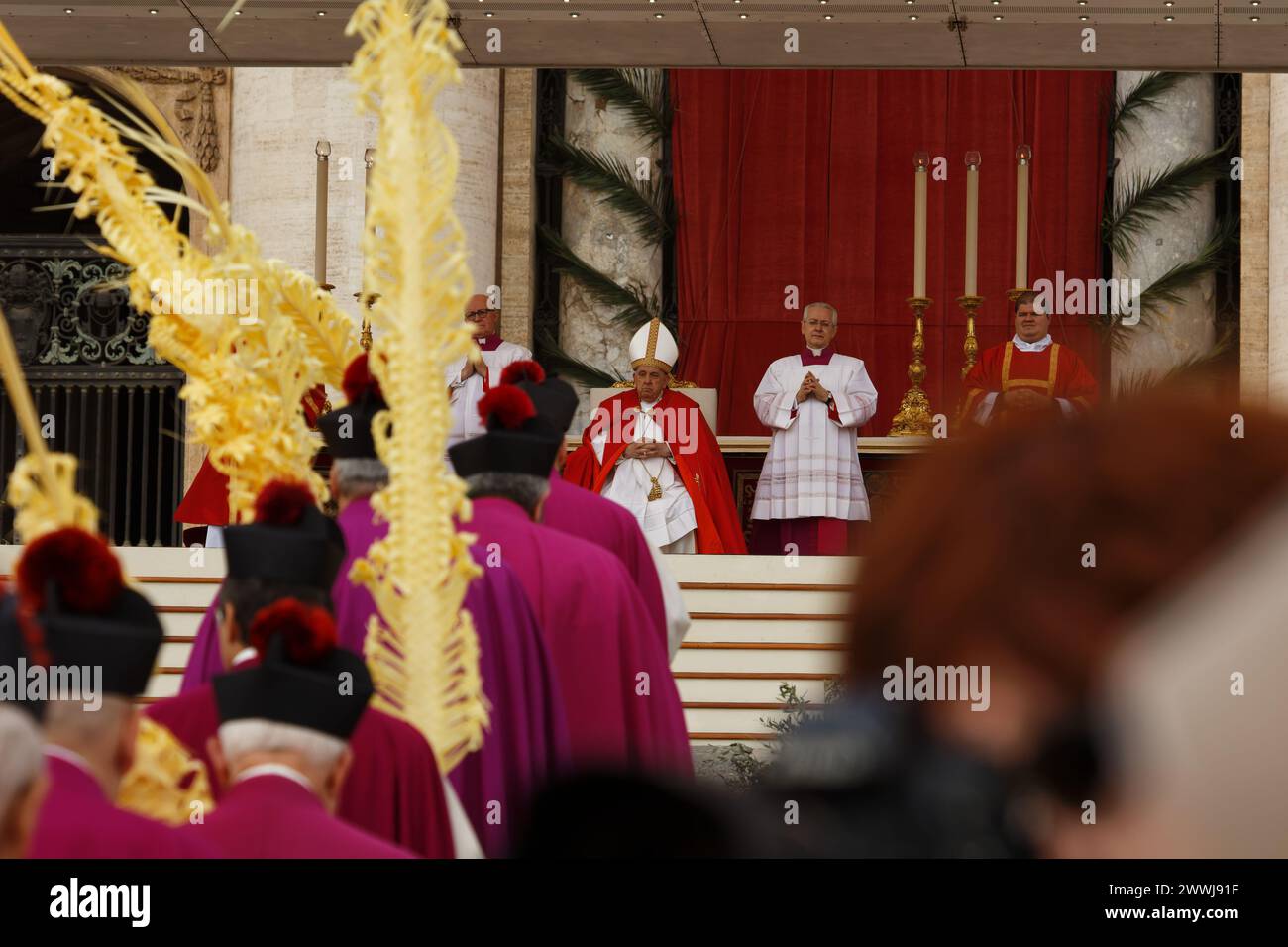 Rome Italy March 24, 2024: Palm Sunday Pope Francis celebrates the mass ...