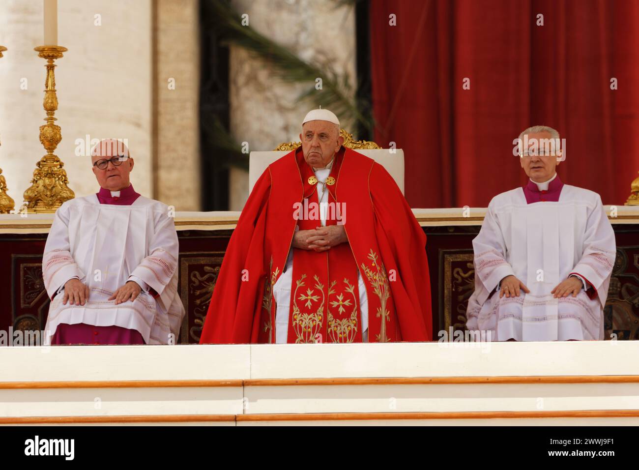 Rome Italy March 24, 2024: Palm Sunday Pope Francis celebrates the mass ...