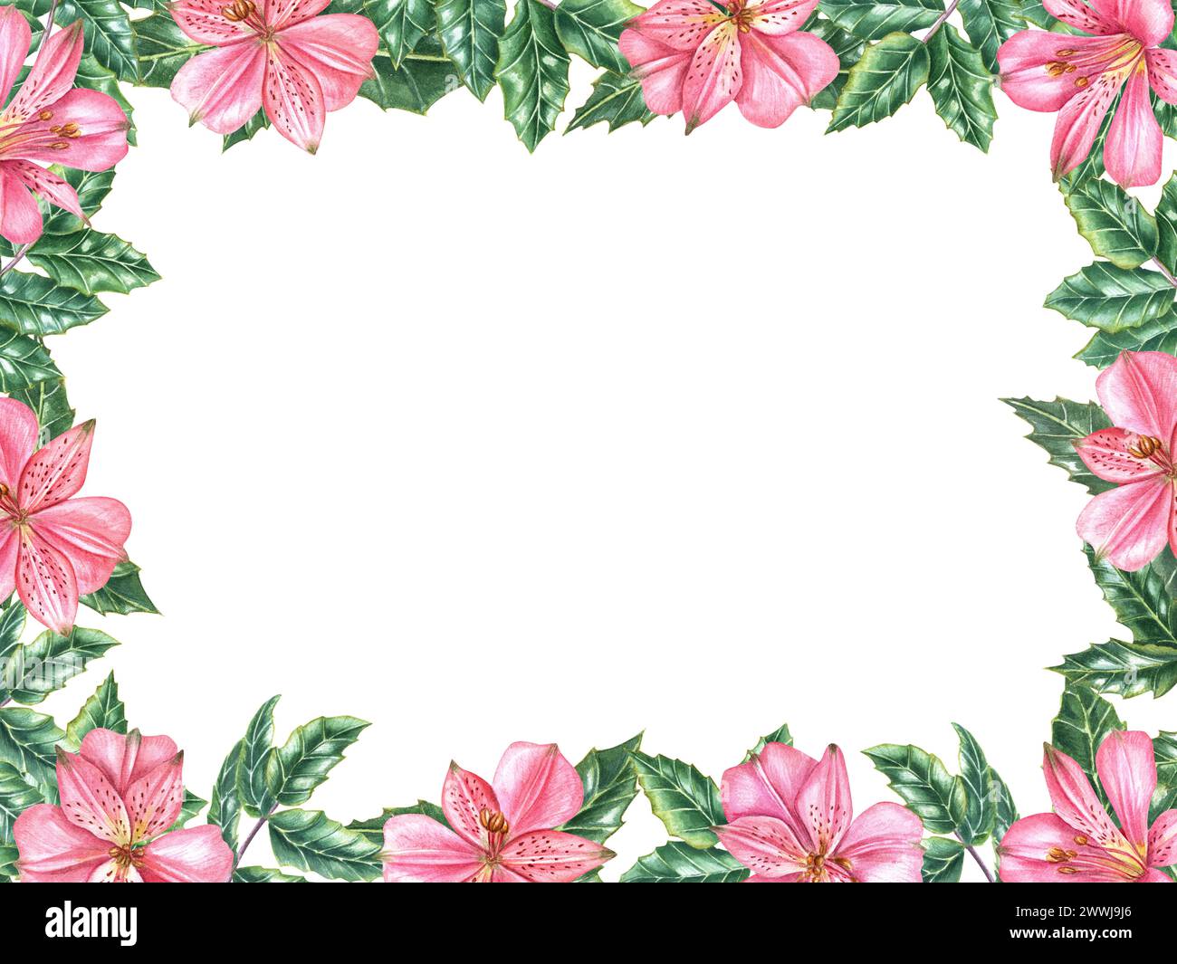 Pink floral frame watercolour hi-res stock photography and images - Alamy