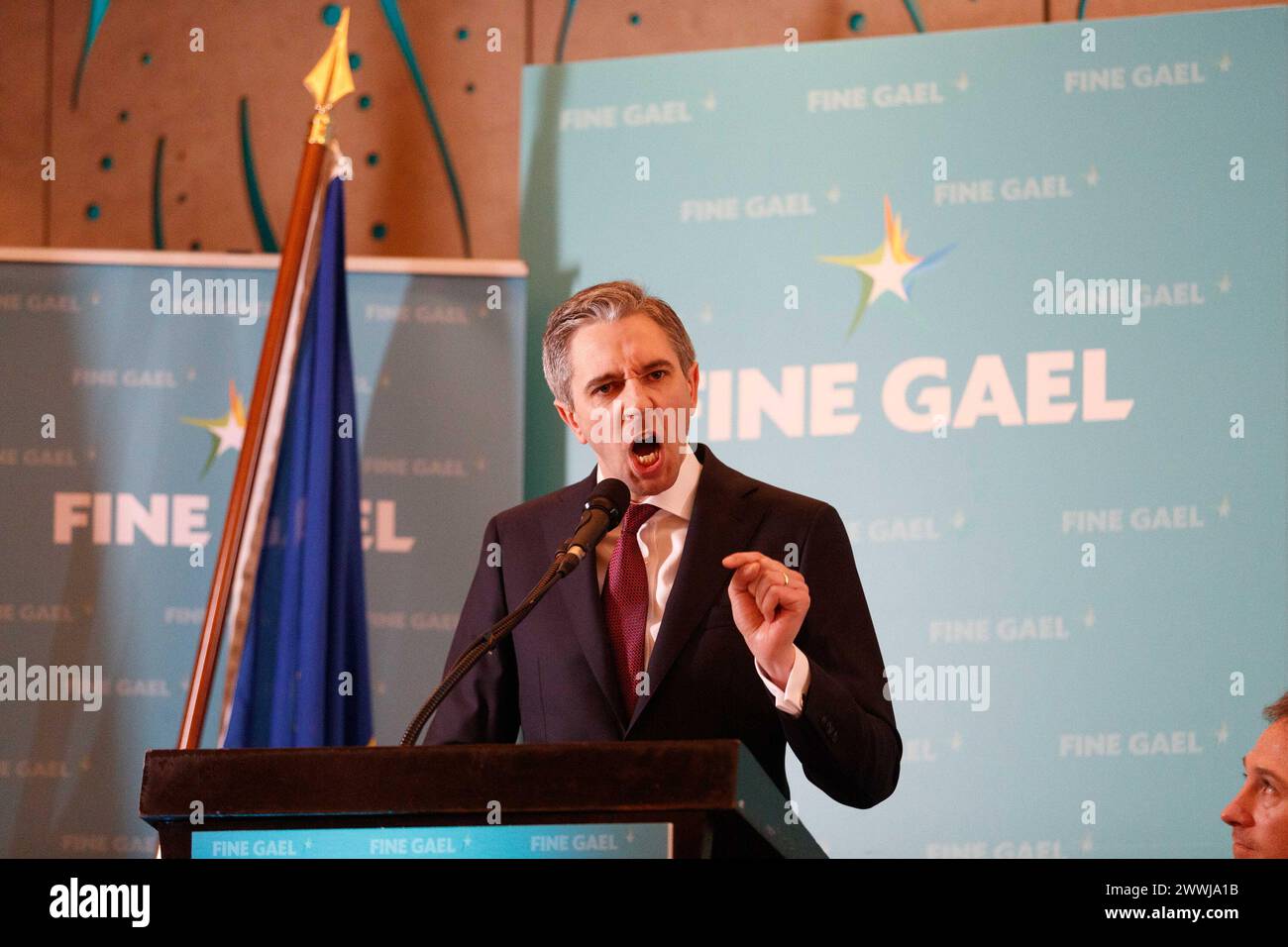 Simon Harris speaks after being confirmed as the new leader of Fine ...