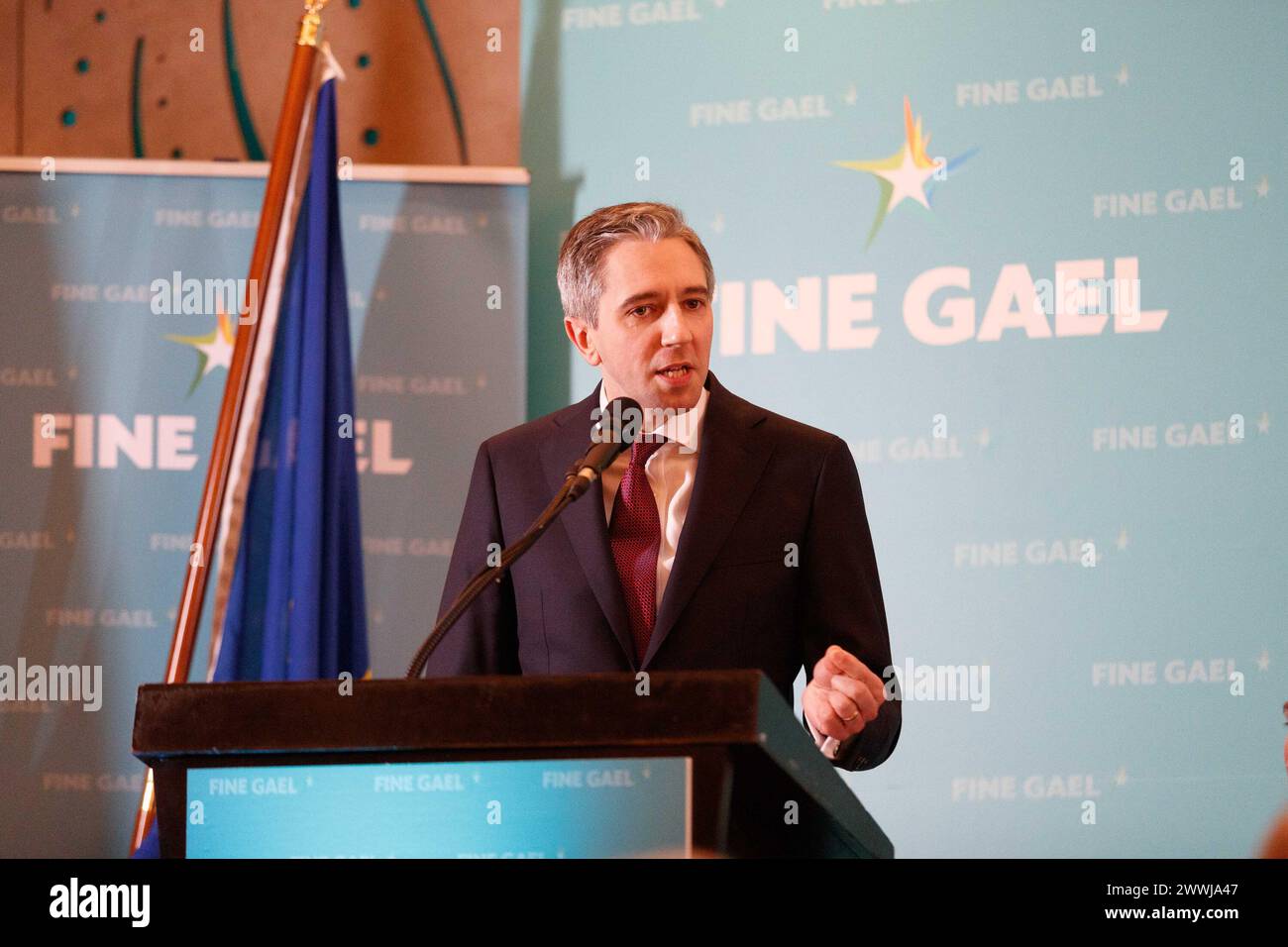 Simon Harris speaks after being confirmed as the new leader of Fine ...