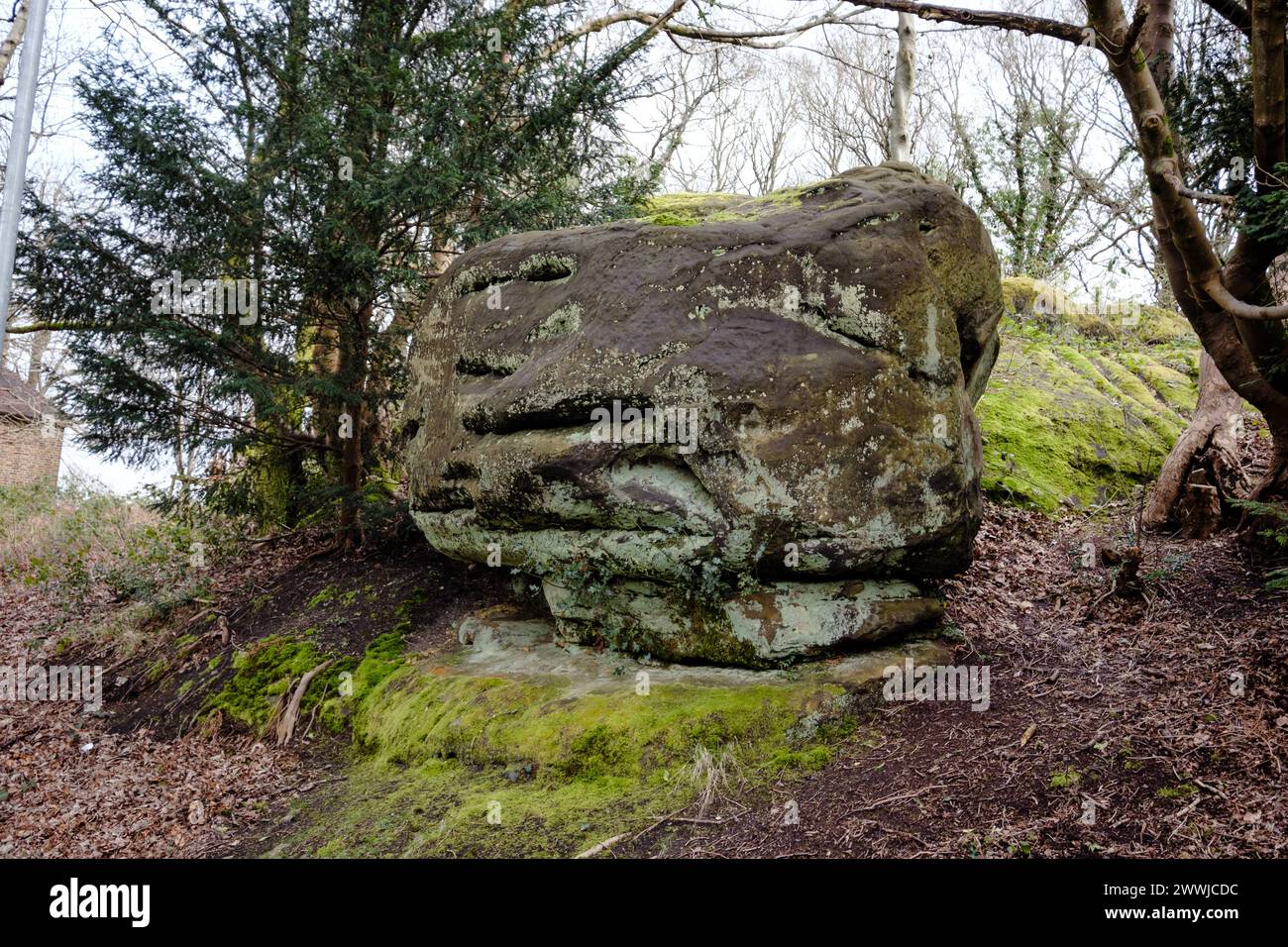 Ancient Sandstone rock formations at Tunbridge Wells Rusthall Common ...