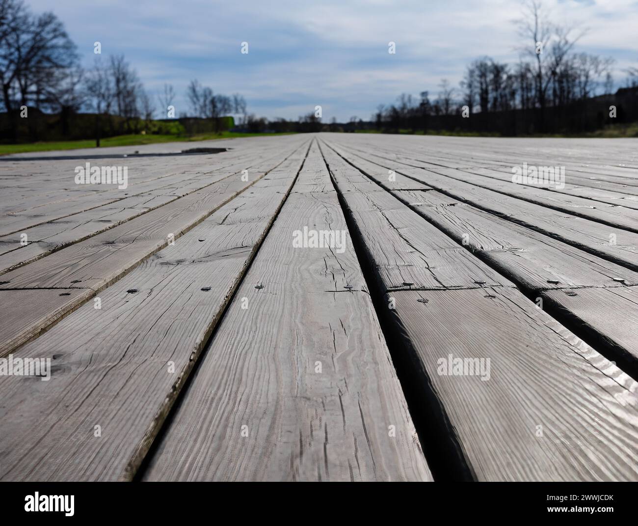 Boardwalk by the garden, wooden plank, decking, walkway, path or ...