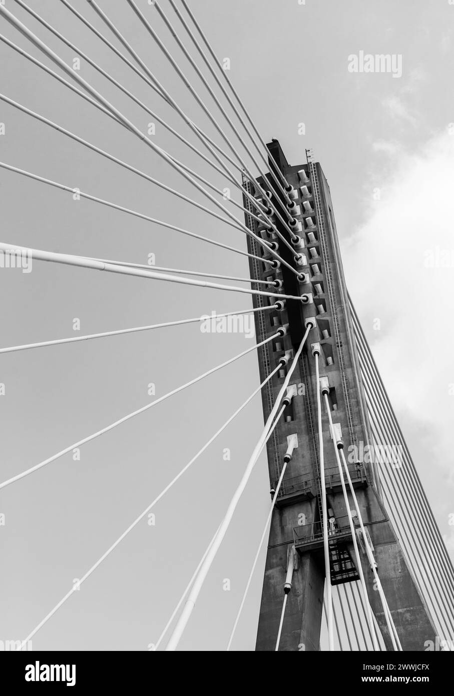 Steel cables of Swietokrzyski bridge over the Vistula river in Warsaw ...