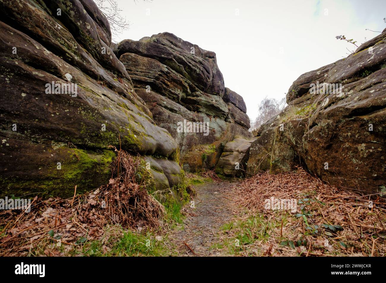 Sandstone and water erosion hi-res stock photography and images - Alamy