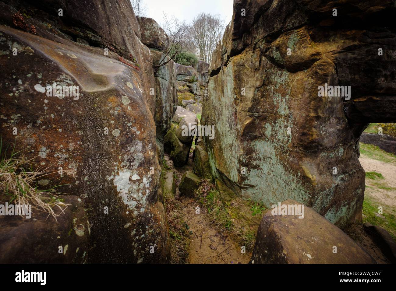 Ancient Sandstone rock formations at Tunbridge Wells Rusthall Common ...