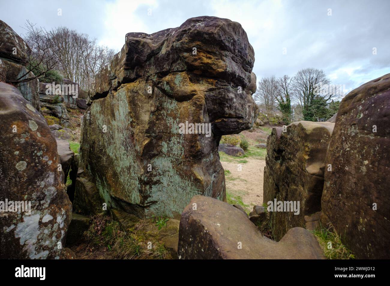 Ancient Sandstone rock formations at Tunbridge Wells Rusthall Common ...