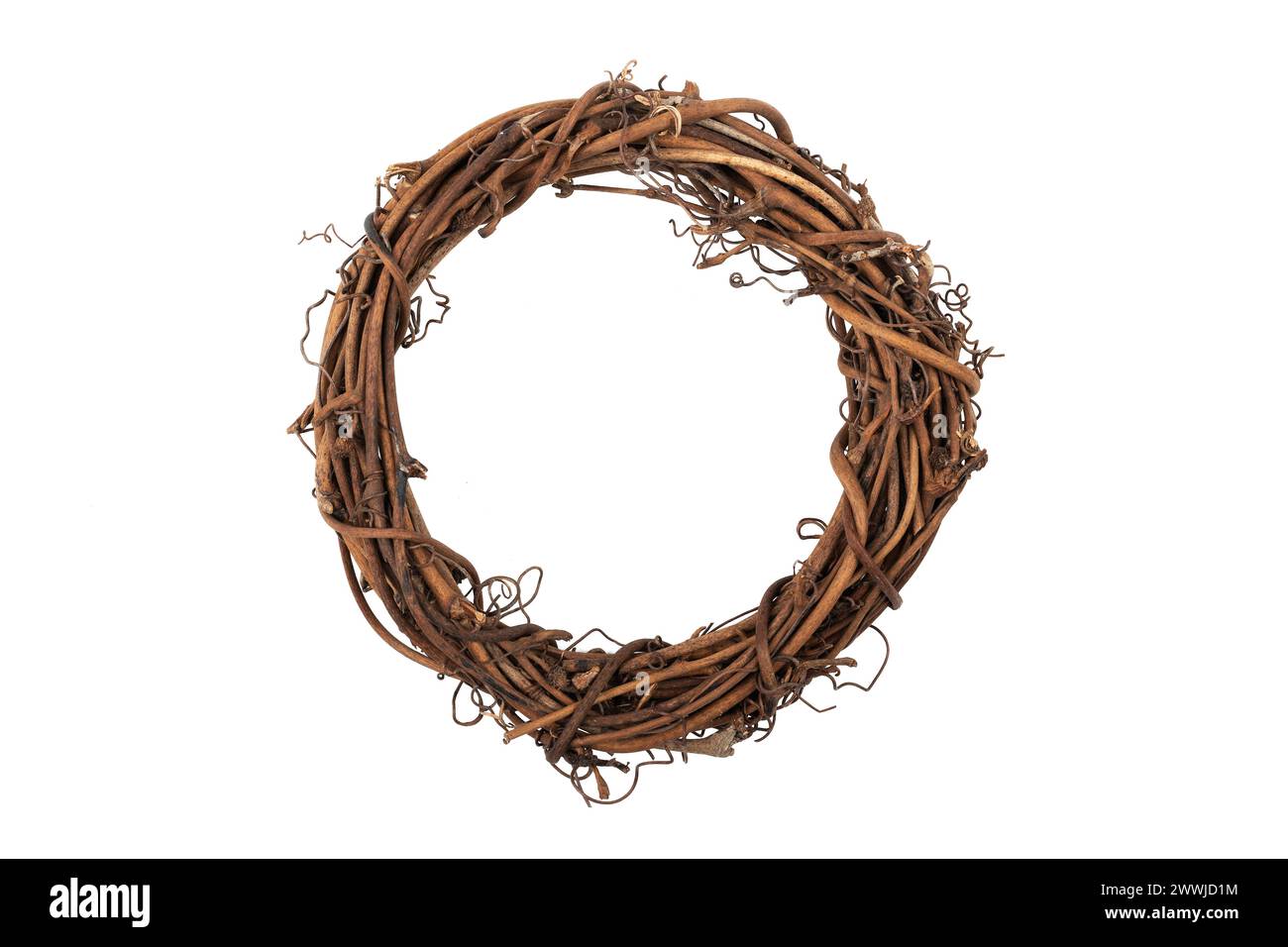 Wreath of vines in the shape of a circle on white background. Top view ...