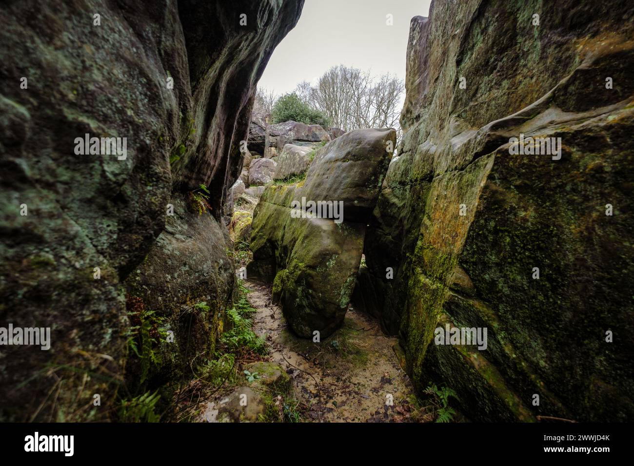 Ancient Sandstone rock formations at Tunbridge Wells Rusthall Common ...