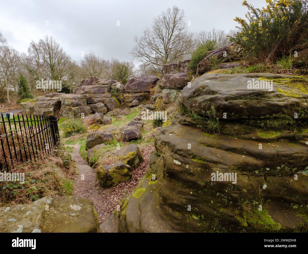 Ancient Sandstone rock formations at Tunbridge Wells Rusthall Common ...