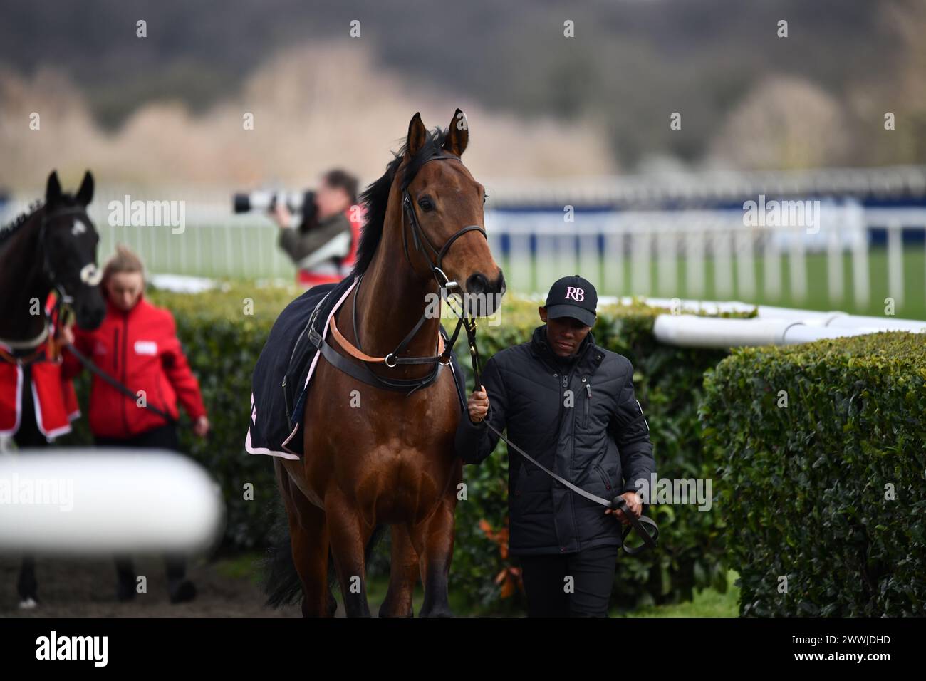 Lincoln racecourse hi-res stock photography and images - Alamy