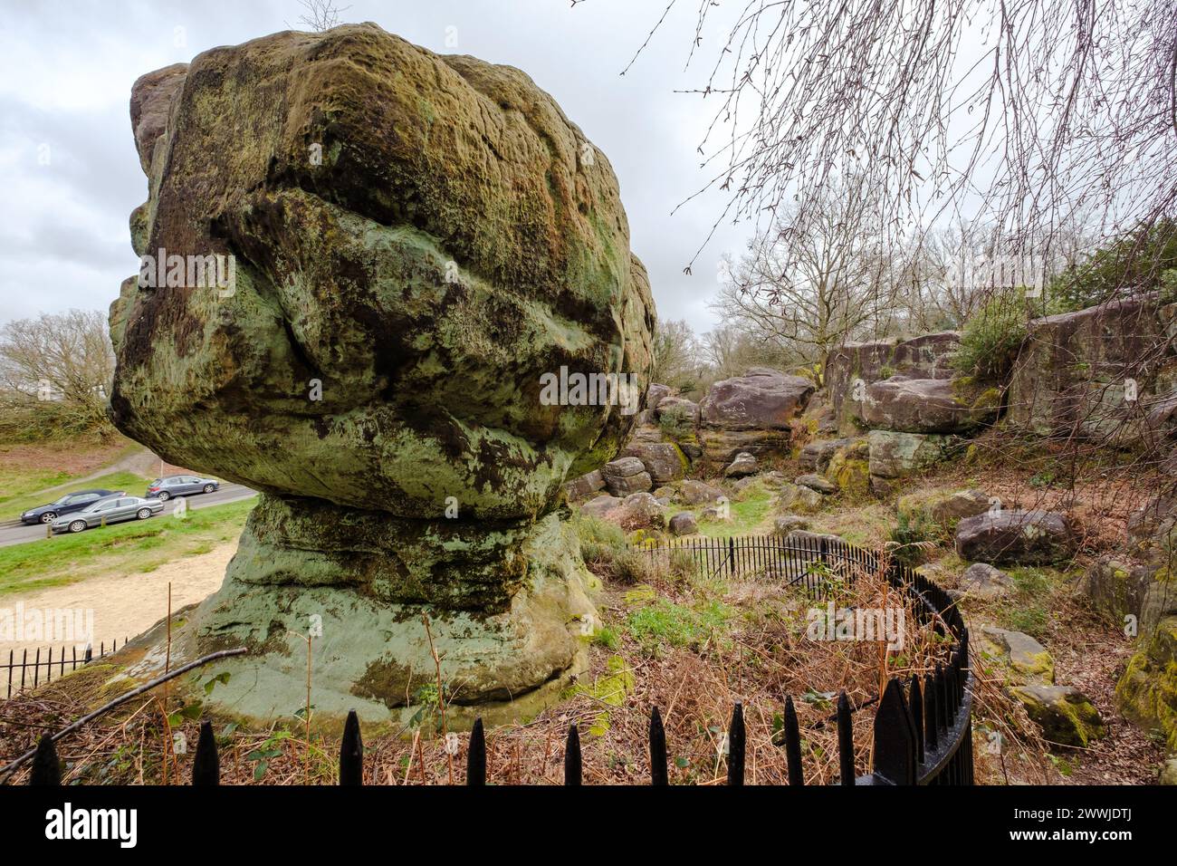 136 million years old hi-res stock photography and images - Alamy