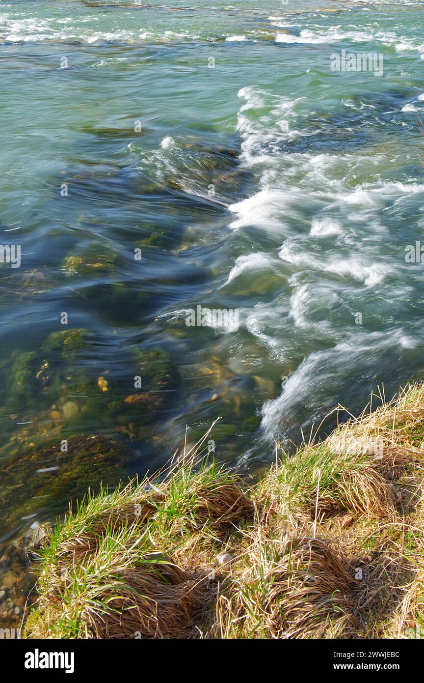 Water scum hi hi-res stock photography and images - Alamy