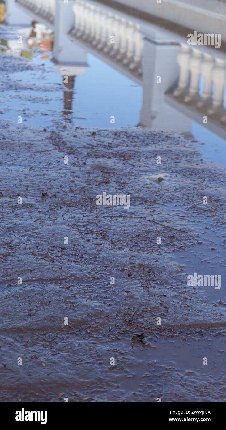 City bridge mirrored on wet asphalt, serene urban landscape, post-rain ...