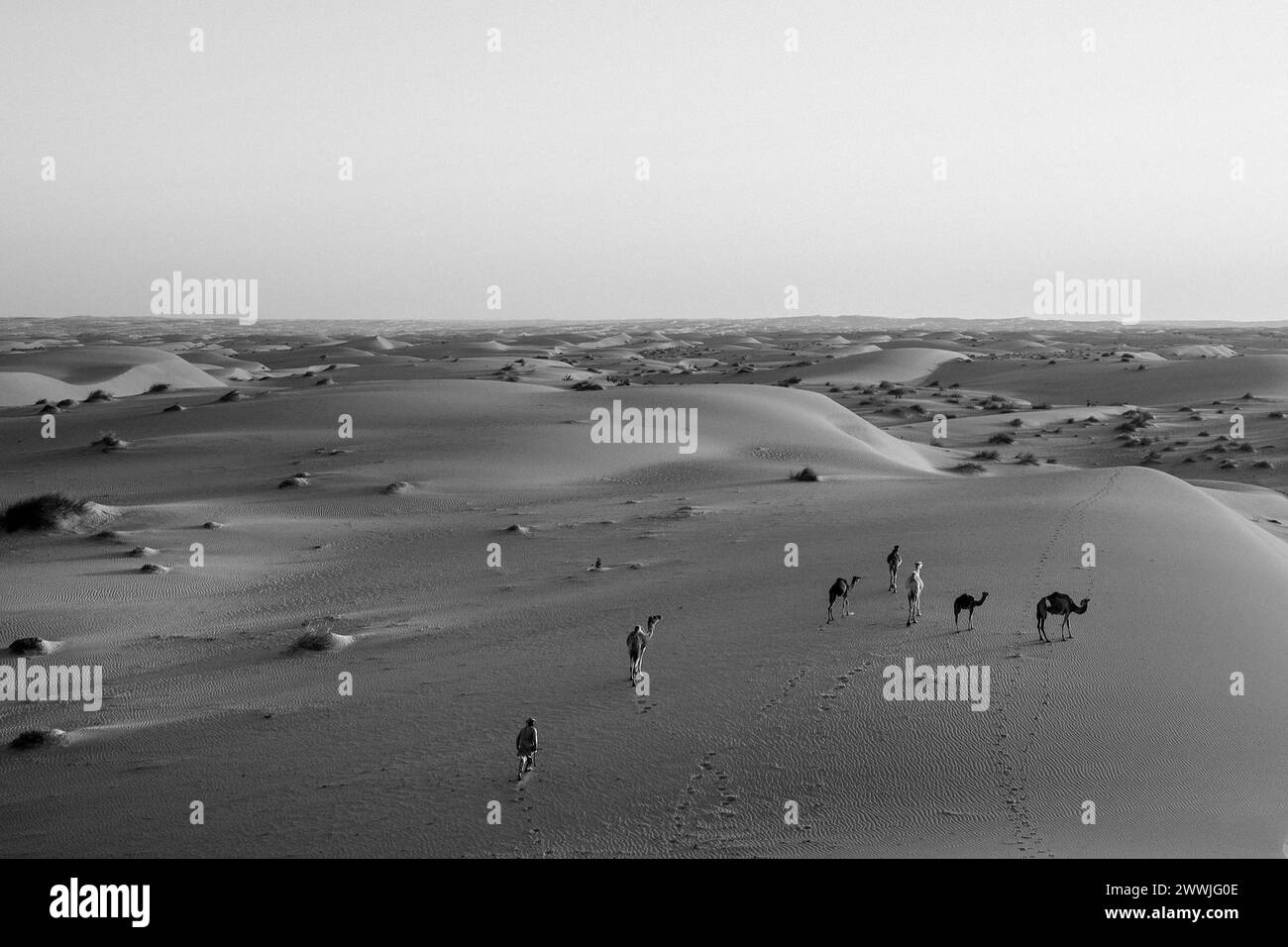 Mauritania, Chinguetti, landscape Stock Photo - Alamy