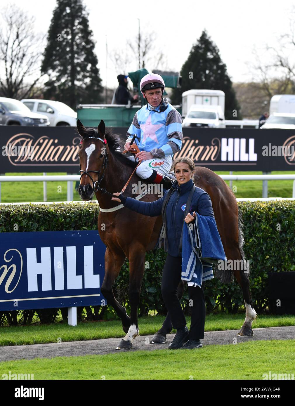 Shane kelly jockey hi-res stock photography and images - Alamy