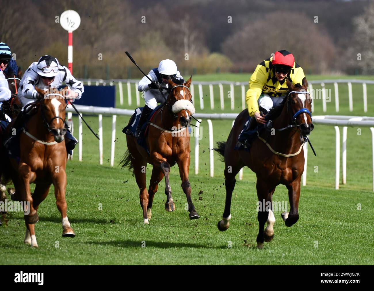 Lincoln racecourse hi-res stock photography and images - Alamy