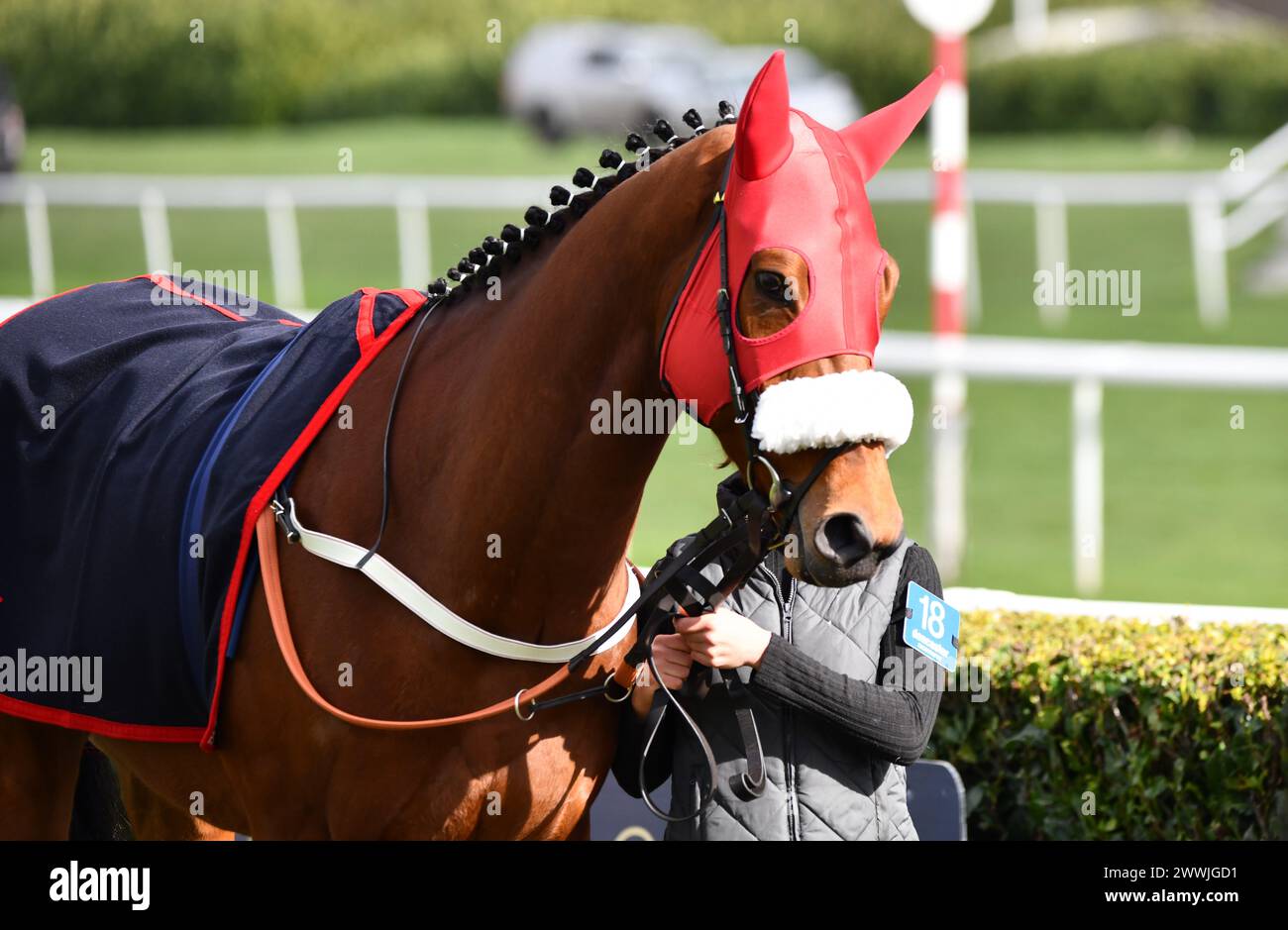 Lincoln racecourse hi-res stock photography and images - Alamy