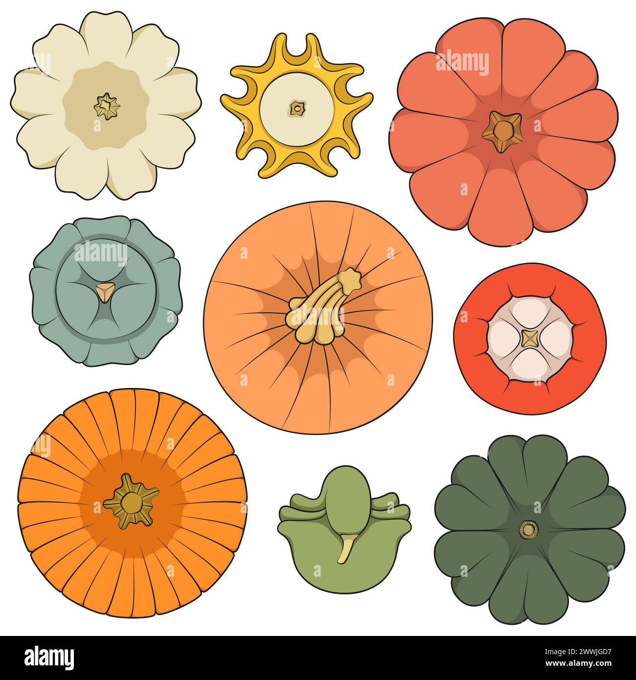 Set of color illustrations with pumpkins of different shapes and ...