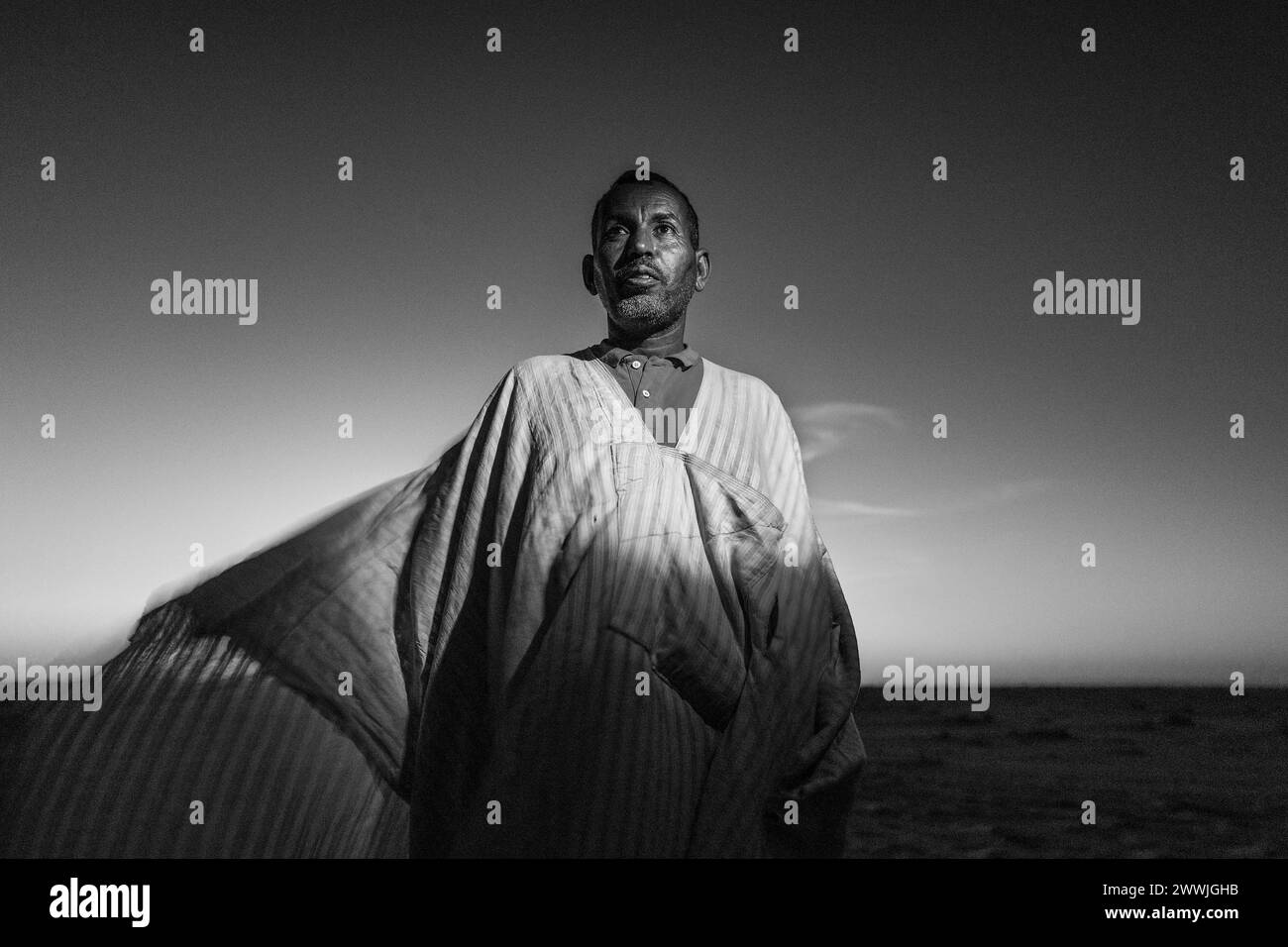 Camel portrait photo Black and White Stock Photos & Images - Alamy