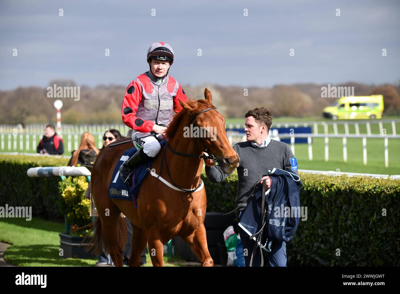 Thunder roar horse hi-res stock photography and images - Alamy