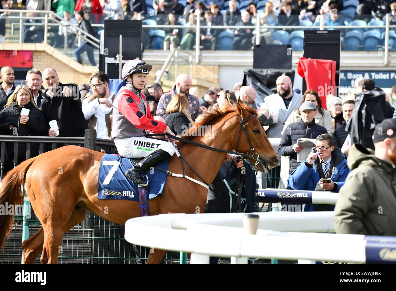 jockey Jamie Spencer and horse Thunder Roar Stock Photo - Alamy