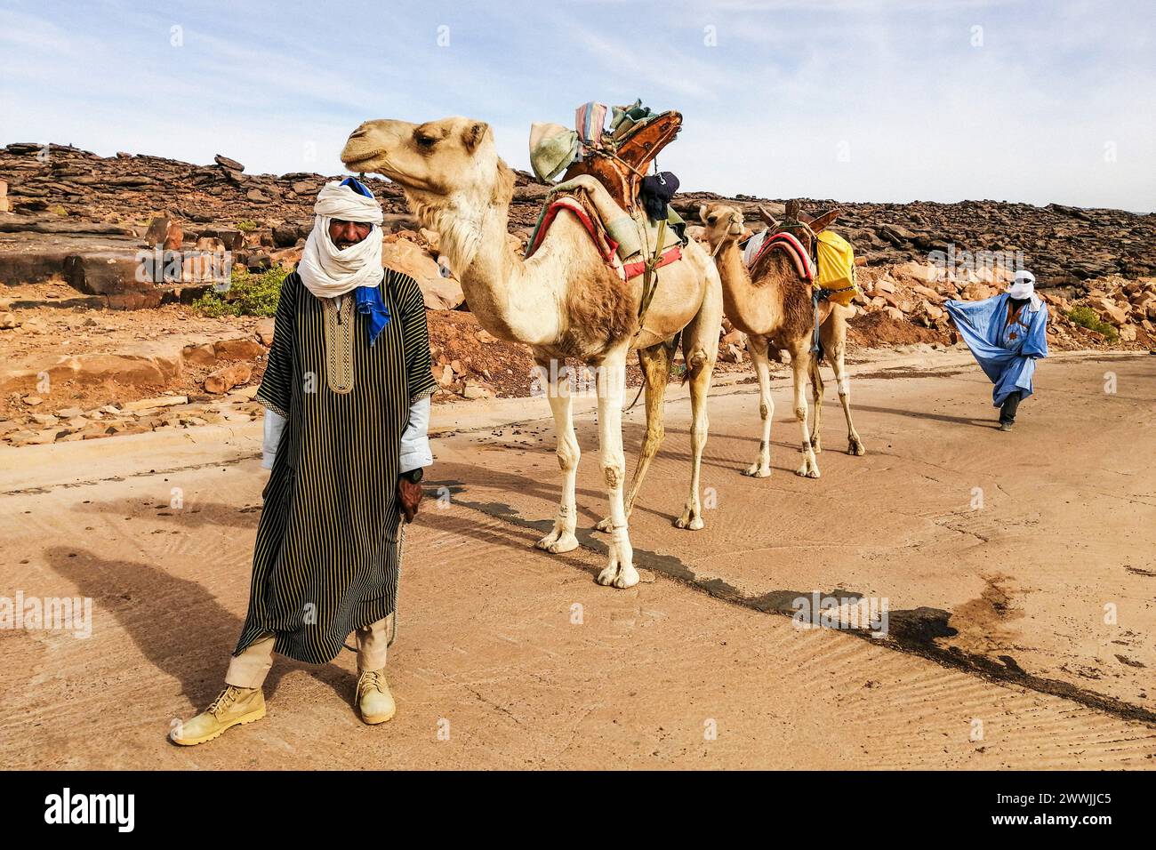 Mauritania, M'Hareth oasi, camel caravan Stock Photo - Alamy