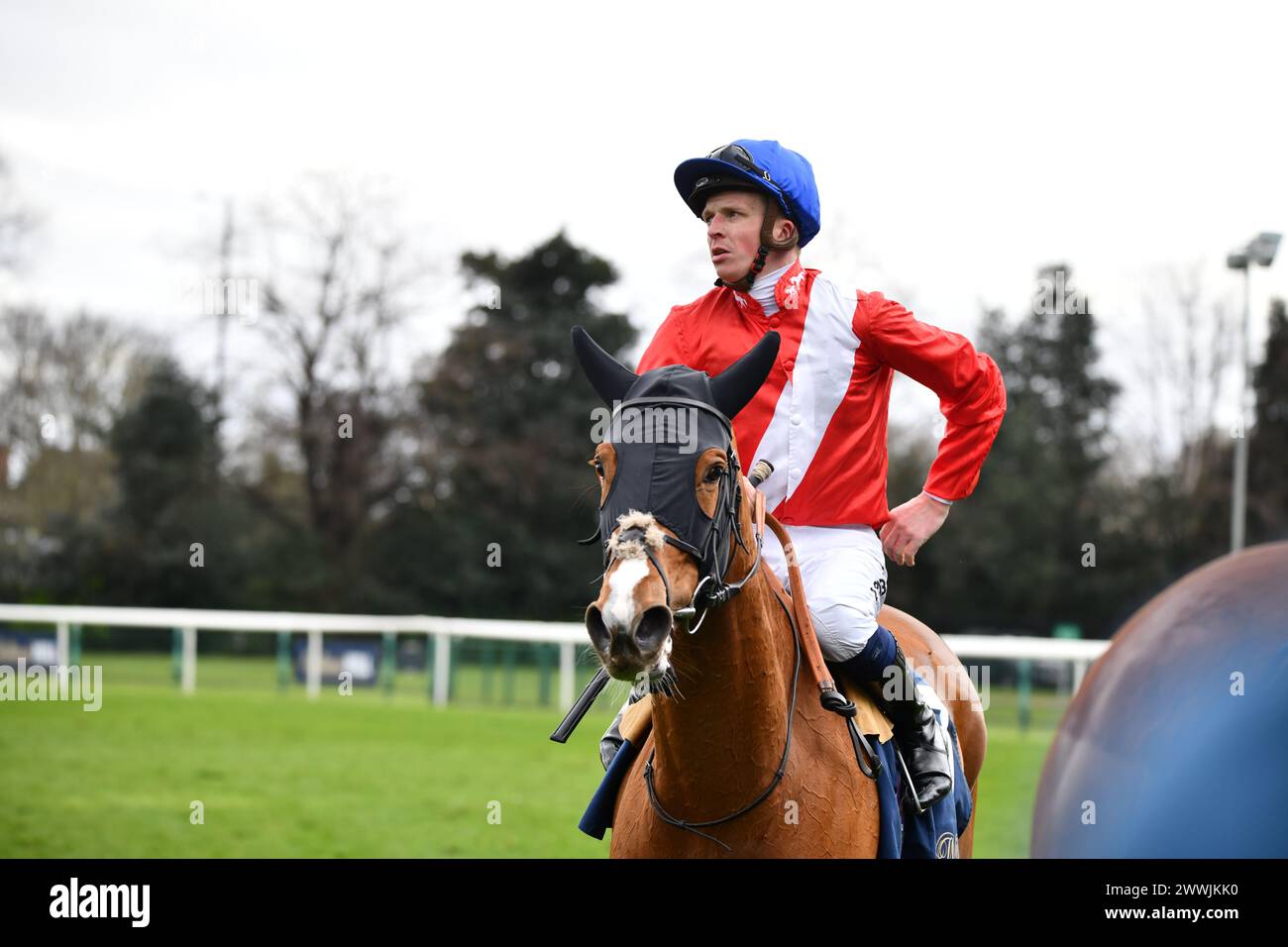 Horse Vetiver and jockey David Probert Stock Photo - Alamy