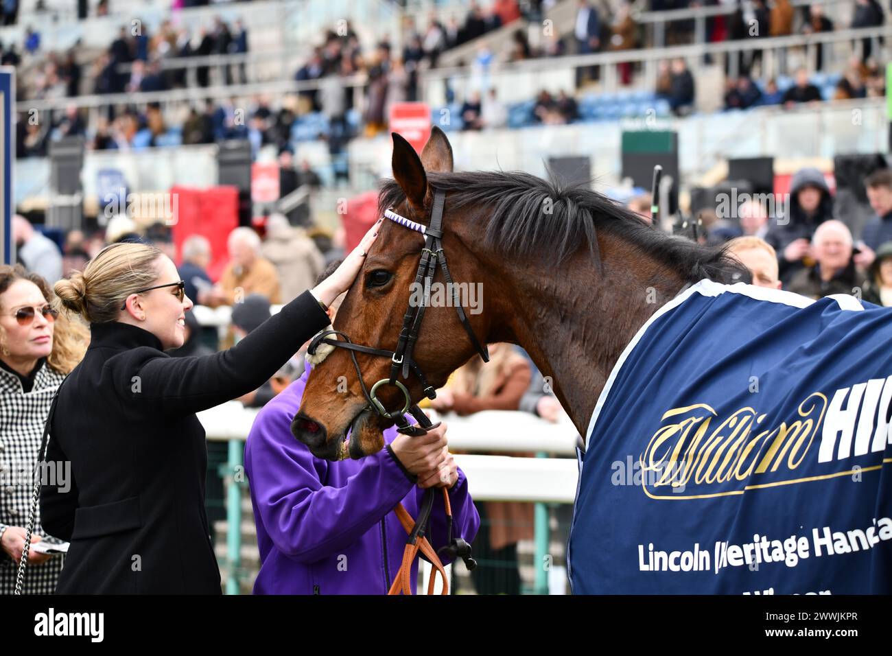 Mr professor horse hi-res stock photography and images - Alamy Mr professor horse hi-res stock photography and images - Alamy